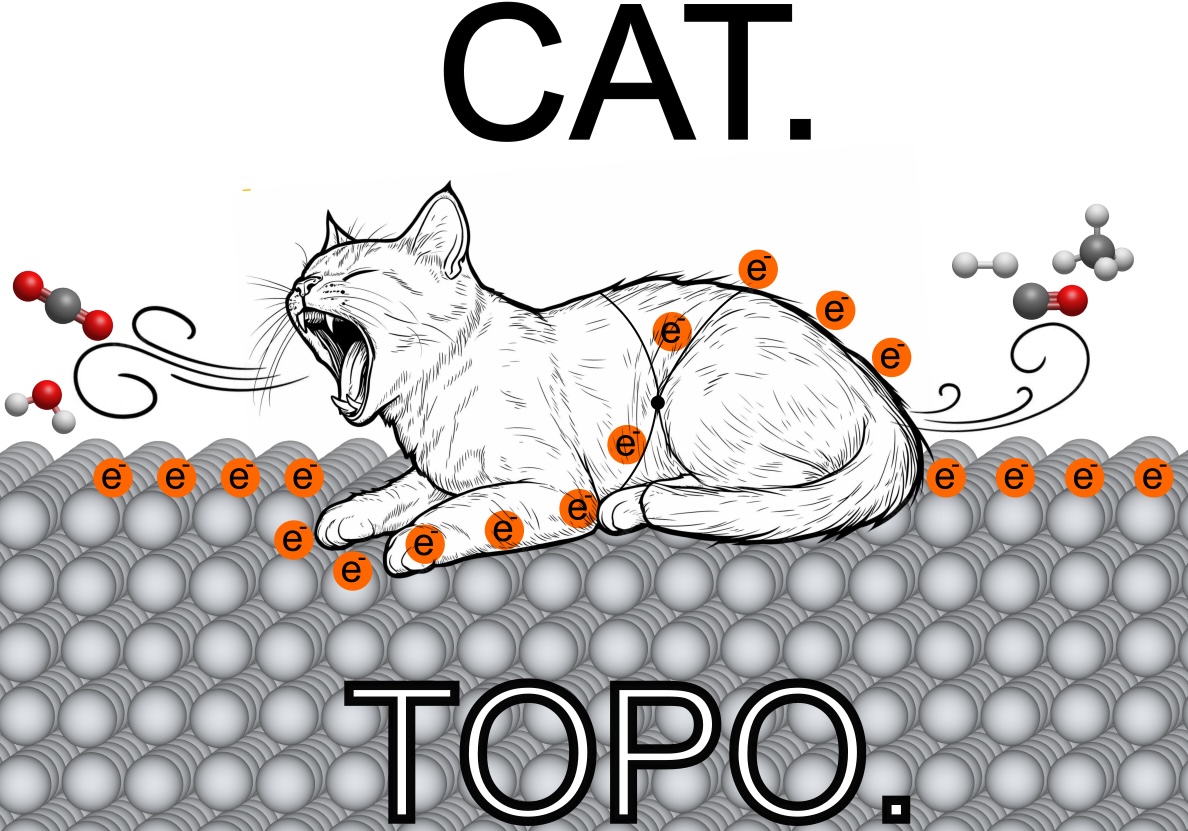 Quantum & Topological Materials – Alexandrova Lab